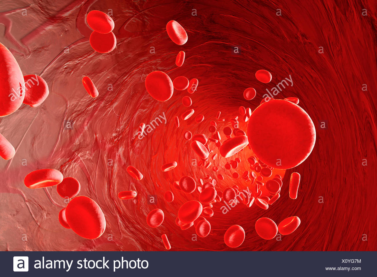 Erythrocyte High Resolution Stock Photography and Images - Alamy