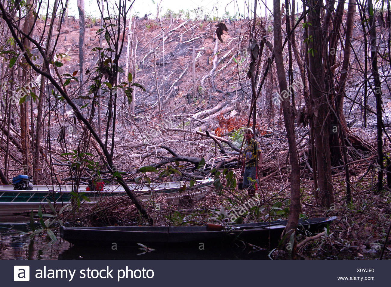 Deforestation Of The Amazon Basin High Resolution Stock Photography and ...