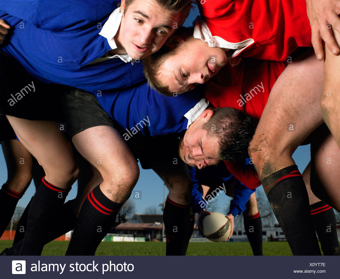 Rugby Aggression High Resolution Stock Photography and Images - Alamy