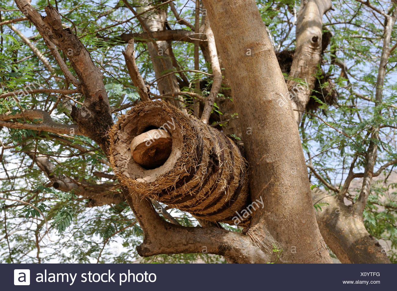 African Beehives High Resolution Stock Photography and Images - Alamy