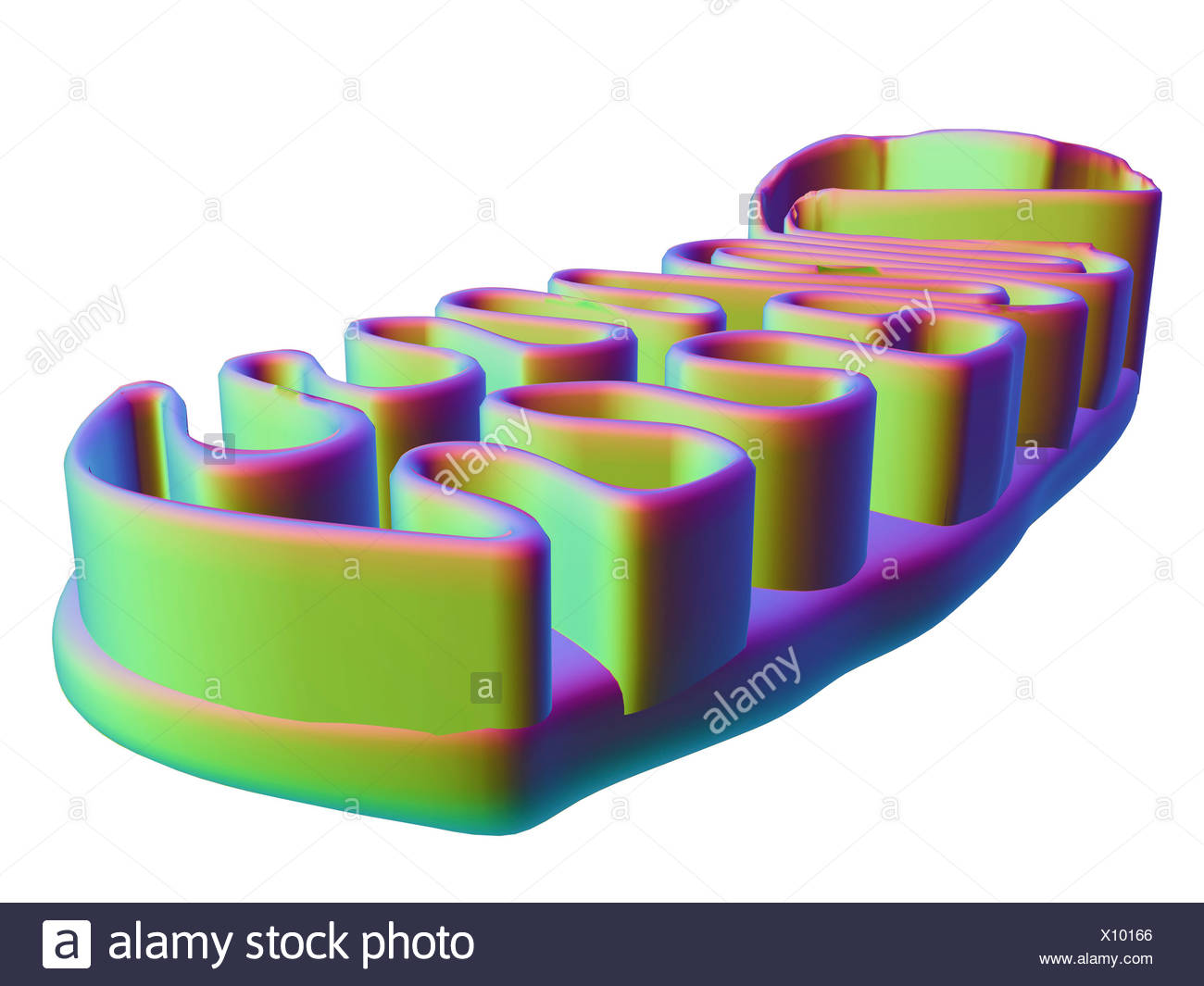 Mitochondrial Dna High Resolution Stock Photography and Images - Alamy