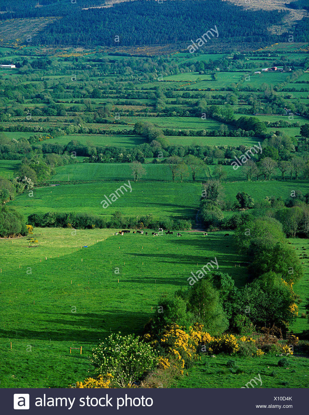 Glen Of Aherlow High Resolution Stock Photography and Images - Alamy