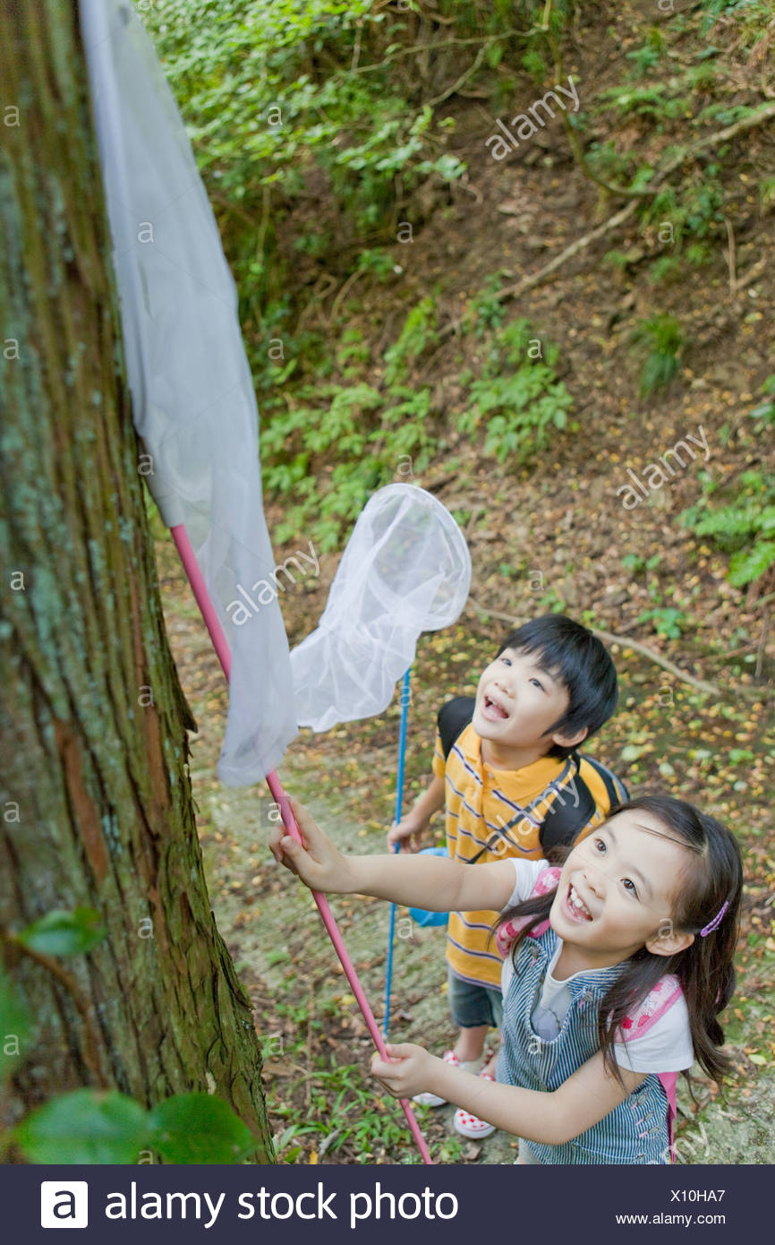 Boy With Butterfly Net High Resolution Stock Photography and Images - Alamy