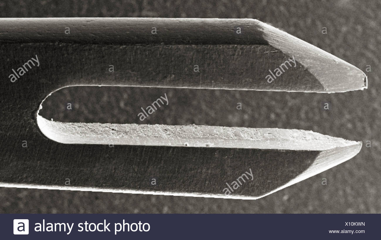 Bifurcated Needle Smallpox Vaccination High Resolution Stock ...