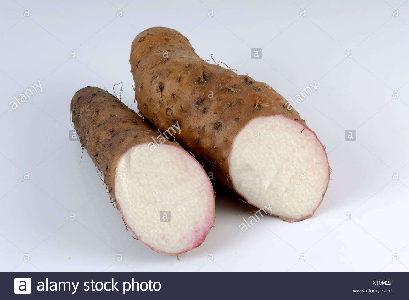 Yam Root Dioscorea Alata High Resolution Stock Photography and Images ...