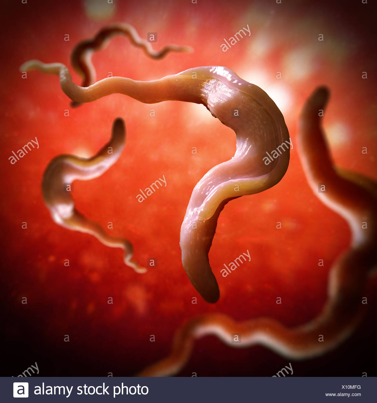 African Sleeping Sickness Stock Photos & African Sleeping Sickness ...