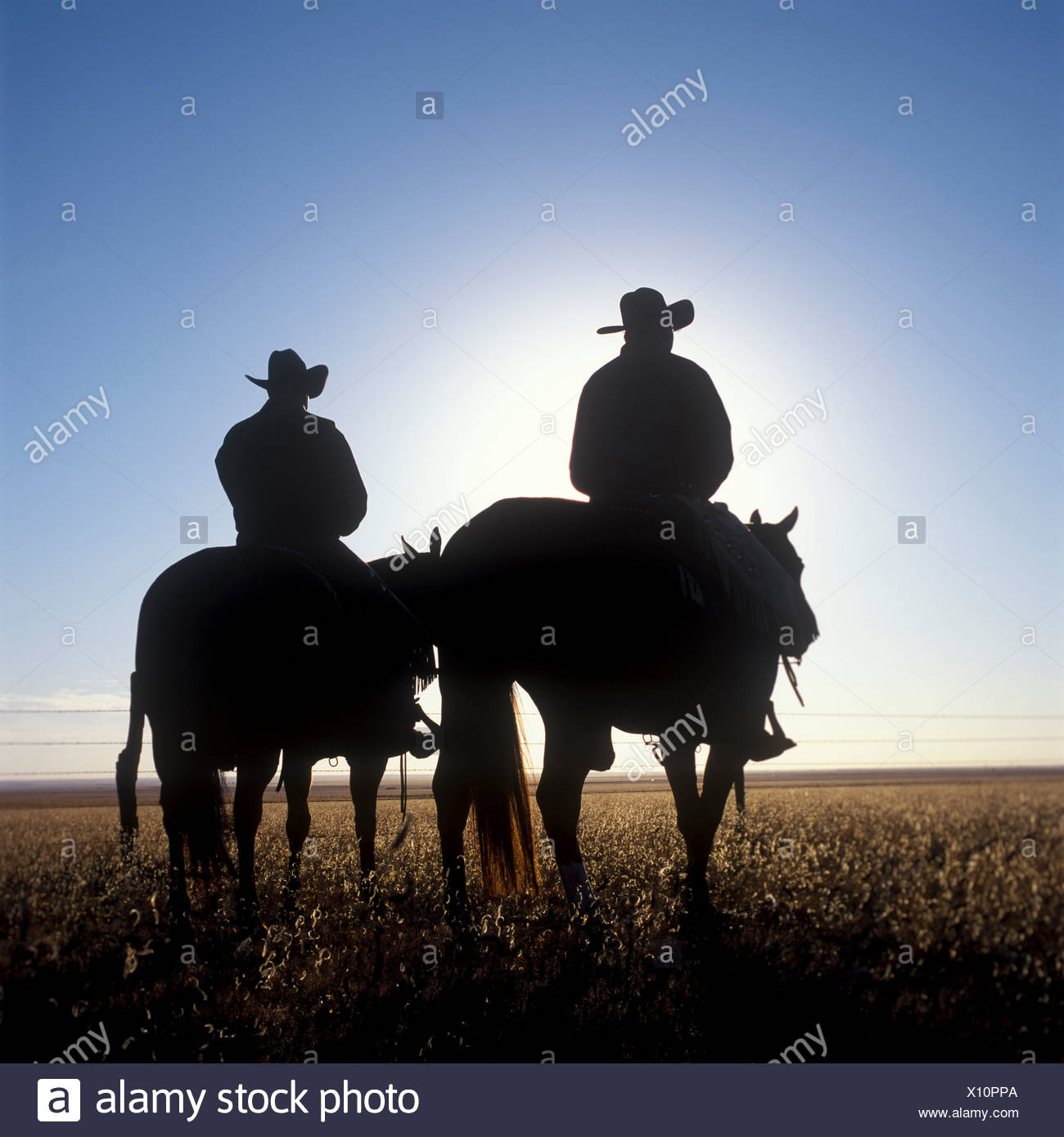 Cowboys On Fence Stock Photos & Cowboys On Fence Stock Images - Alamy