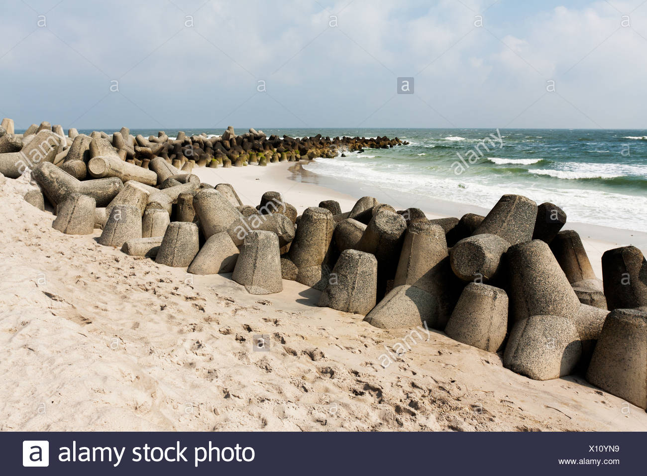 Tetrapods High Resolution Stock Photography and Images - Alamy