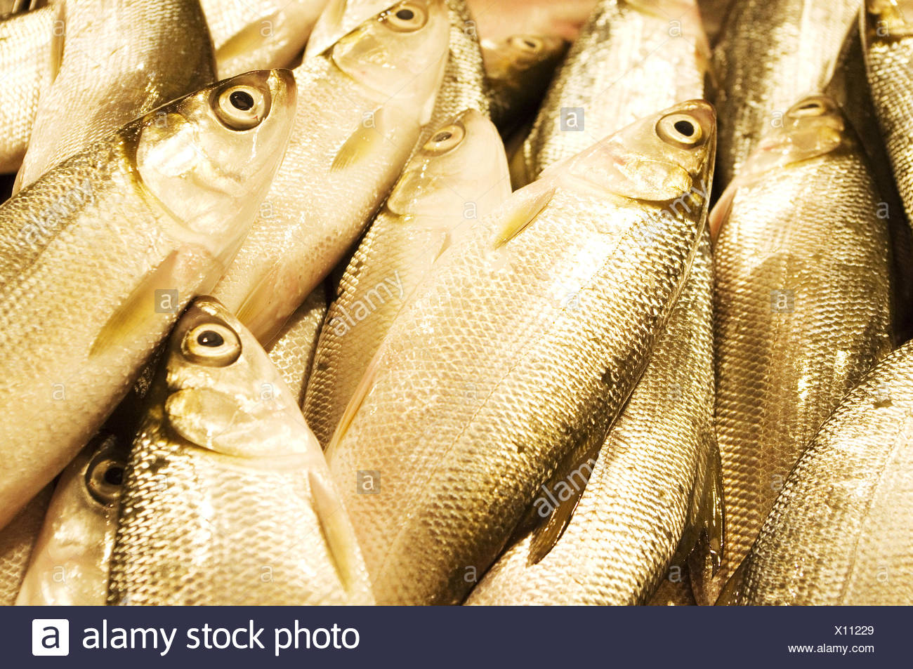 Milkfish High Resolution Stock Photography and Images - Alamy