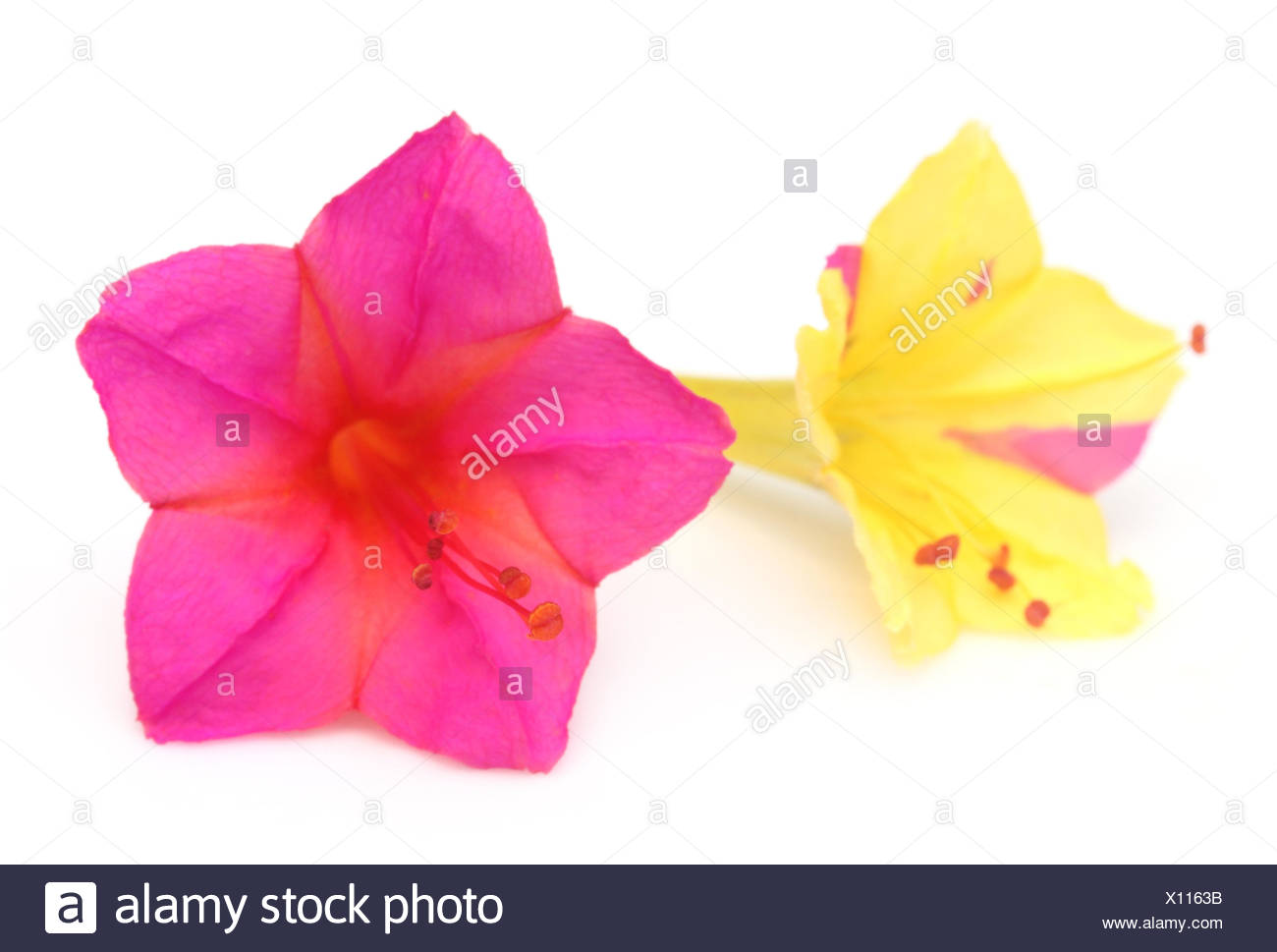 Maloti Stock Photos & Maloti Stock Images - Alamy