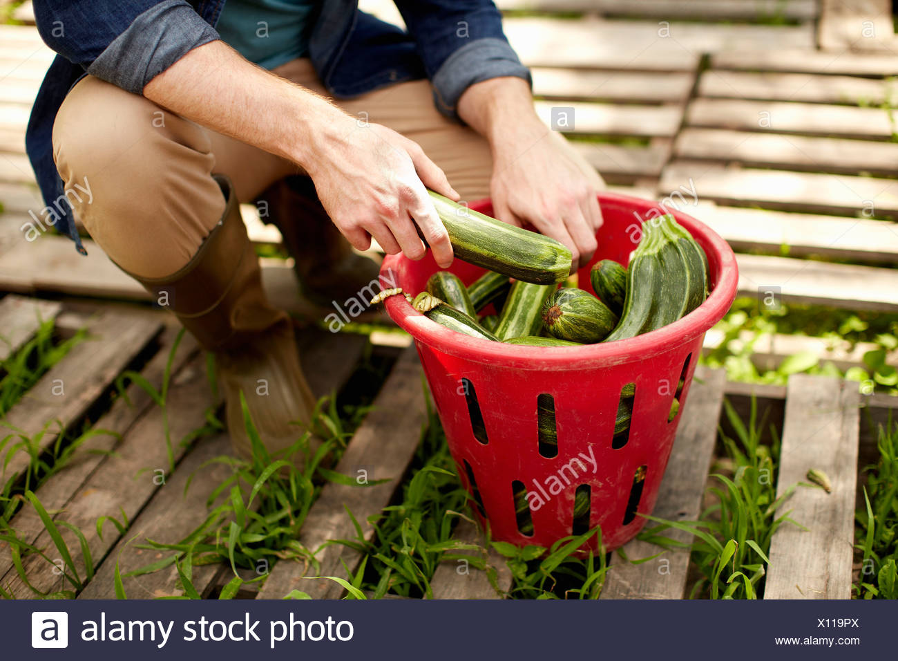 Man Kneeling With Camera High Resolution Stock Photography and Images ...