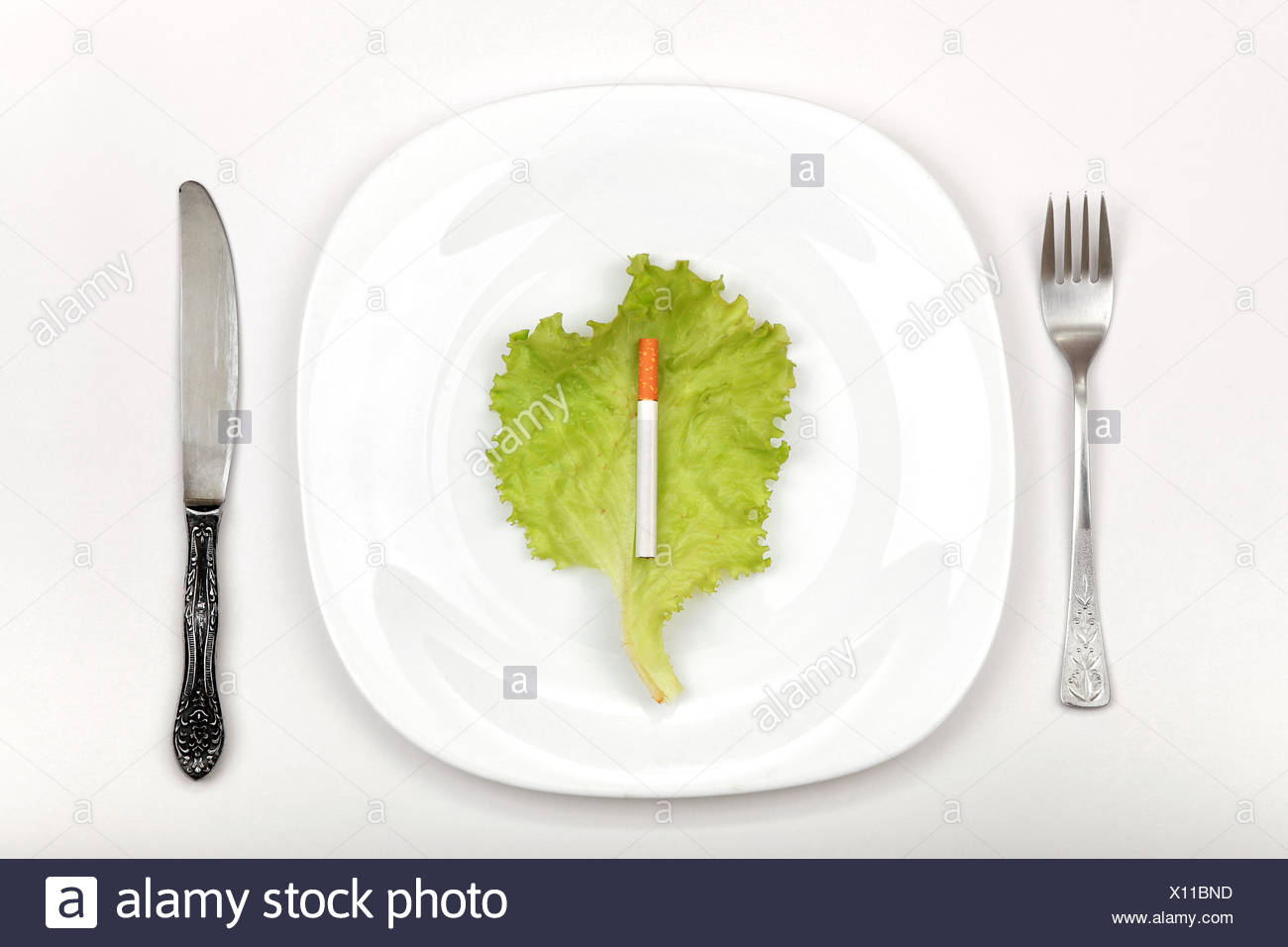 Poisonous Lettuce High Resolution Stock Photography and Images - Alamy