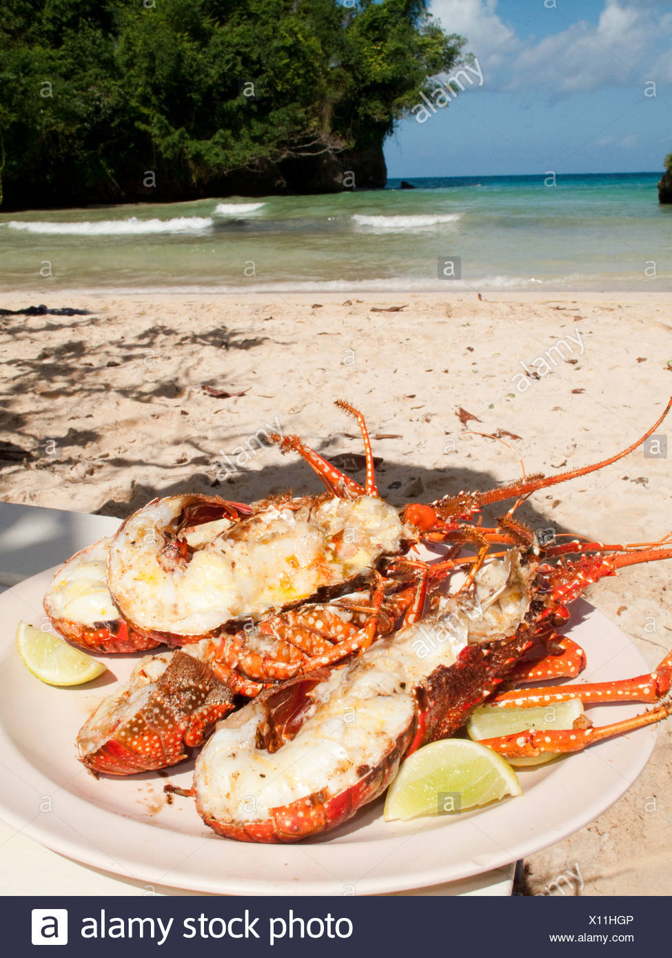 Grilled Lobster Stock Photos & Grilled Lobster Stock Images - Alamy