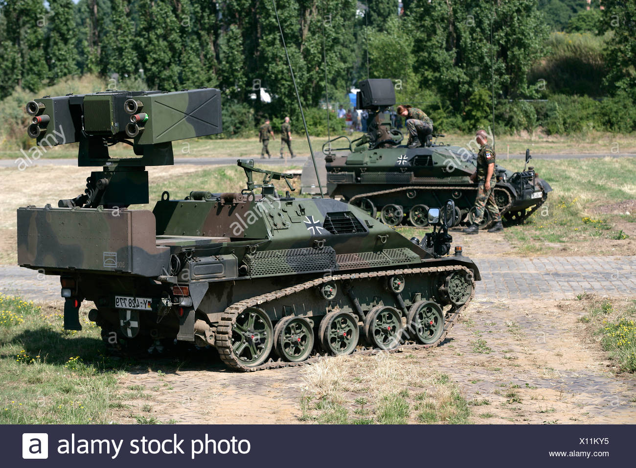 Ozelot High Resolution Stock Photography and Images - Alamy