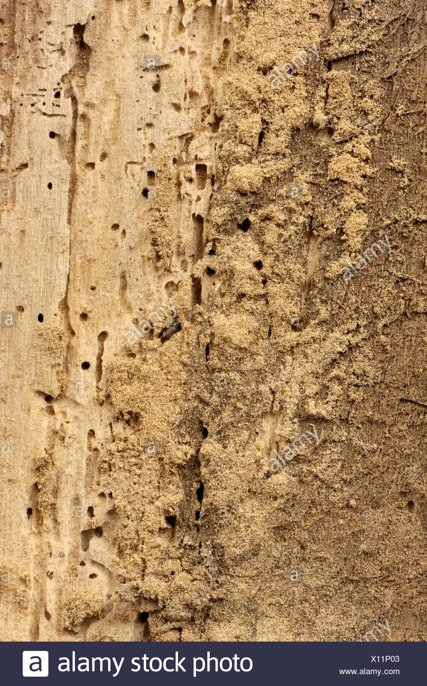 Damage Structure High Resolution Stock Photography and Images - Alamy