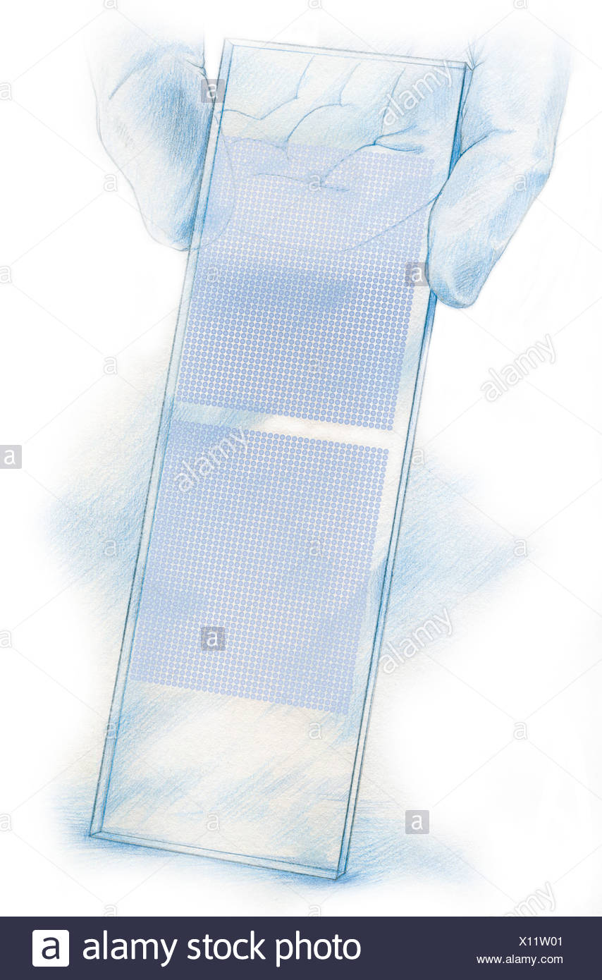 Dna Microchip High Resolution Stock Photography and Images - Alamy