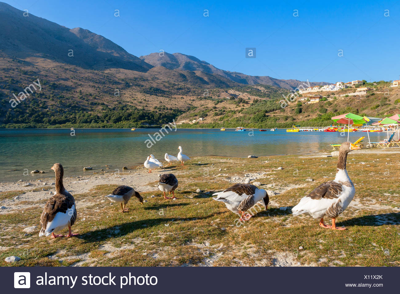 Kournas Crete Stock Photos & Kournas Crete Stock Images - Alamy