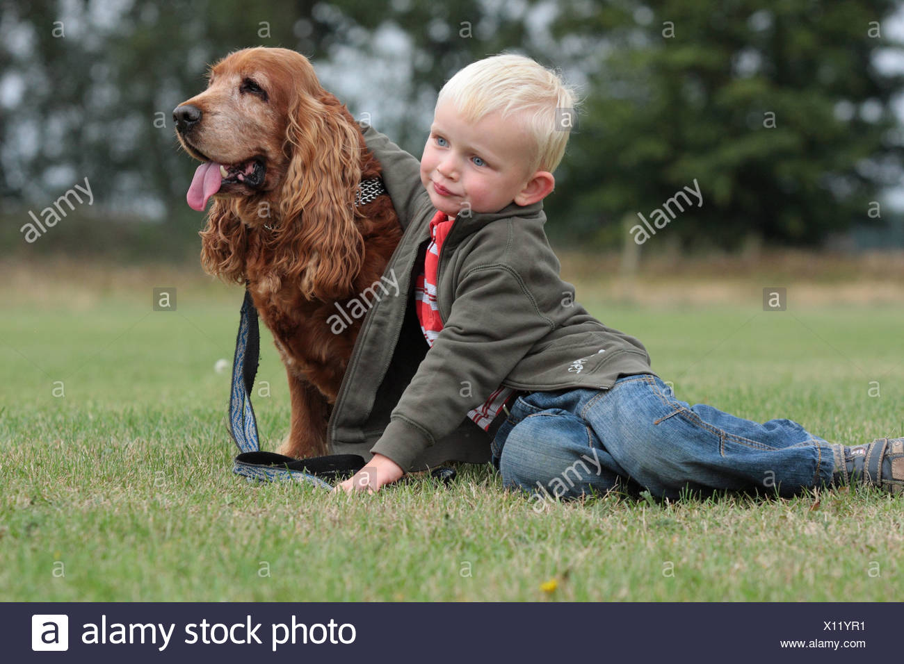 Child And Cocker Spaniel High Resolution Stock Photography and Images ...