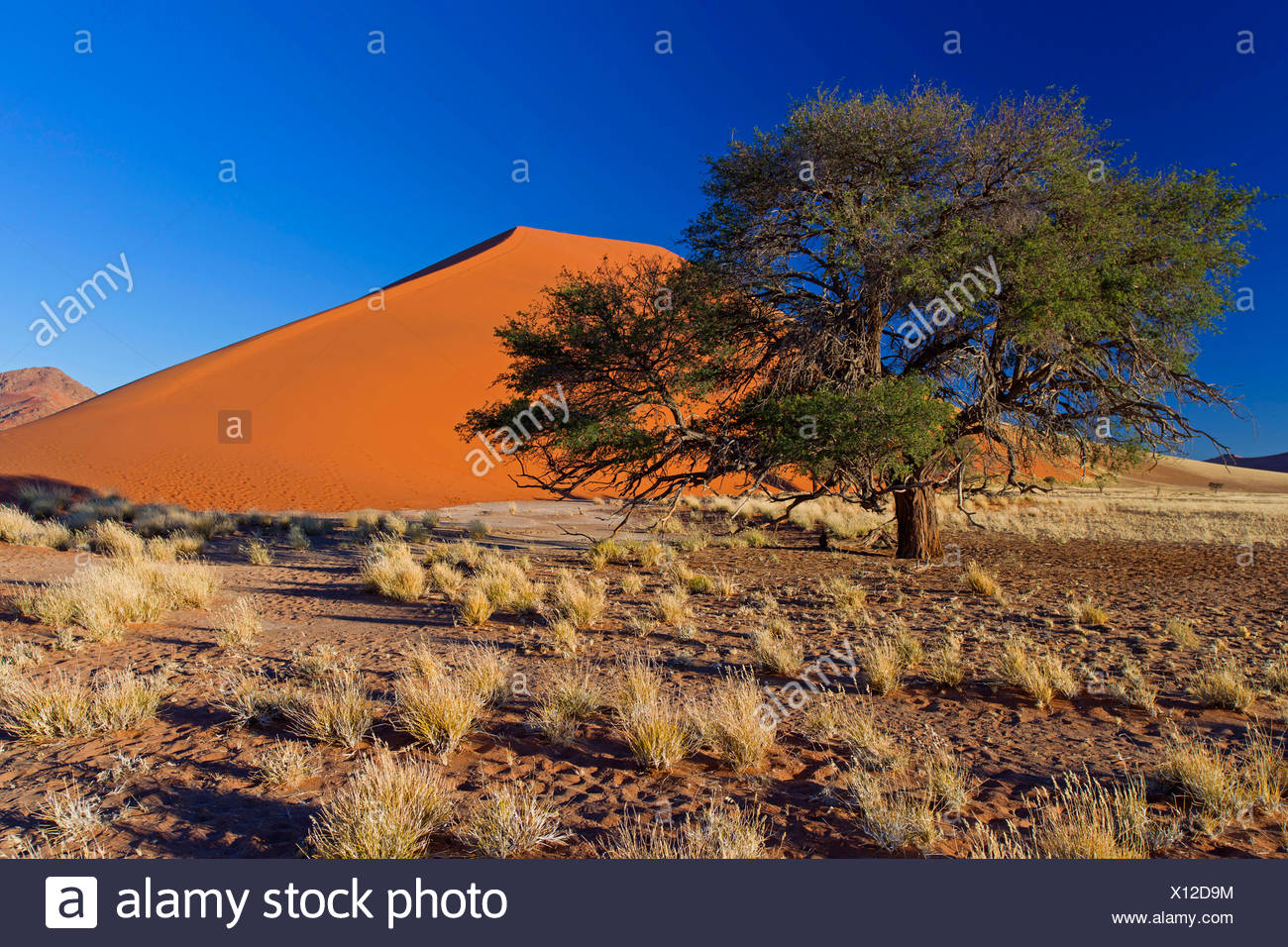 Barchan Sand Dune Stock Photos & Barchan Sand Dune Stock Images - Alamy