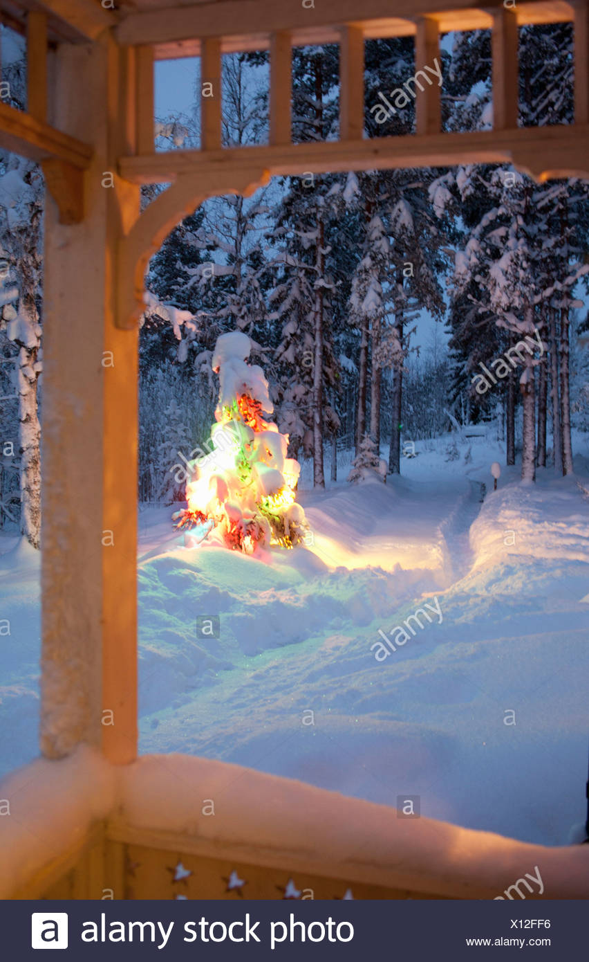 Outdoor Christmas Tree High Resolution Stock Photography and Images - Alamy