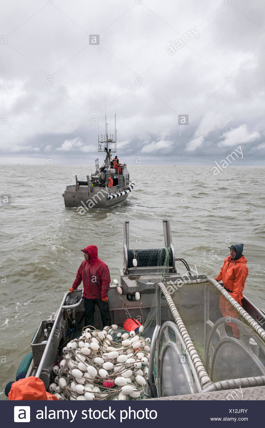 Drift Netting High Resolution Stock Photography and Images - Alamy