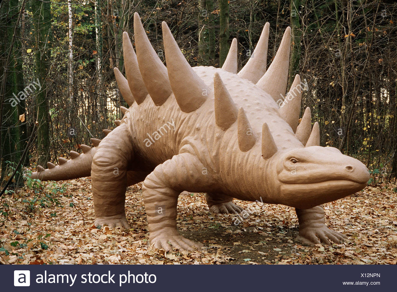 Polacanthus Stock Photos & Polacanthus Stock Images - Alamy