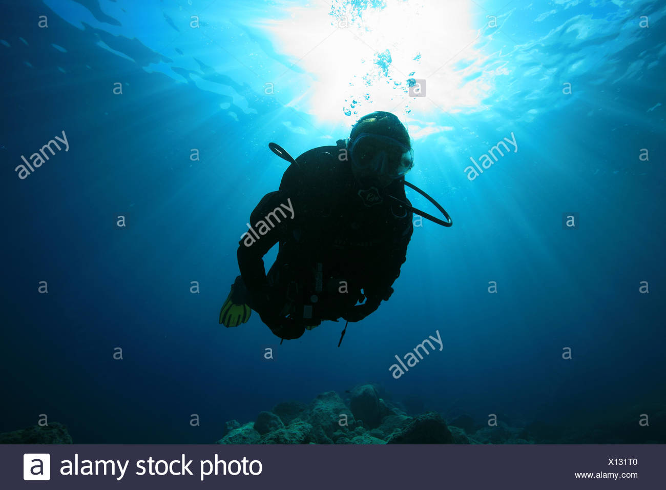 Taucherbild Stock Photos & Taucherbild Stock Images - Alamy
