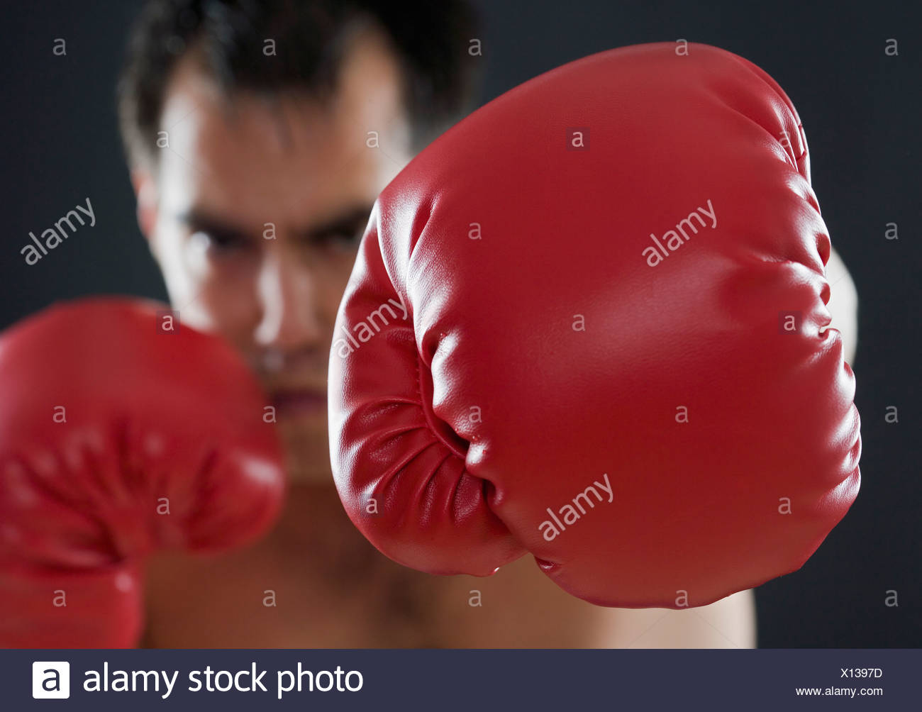 A Boxer Stock Photos & A Boxer Stock Images - Alamy
