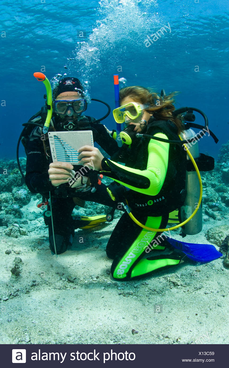 Child Dive Lesson High Resolution Stock Photography and Images - Alamy