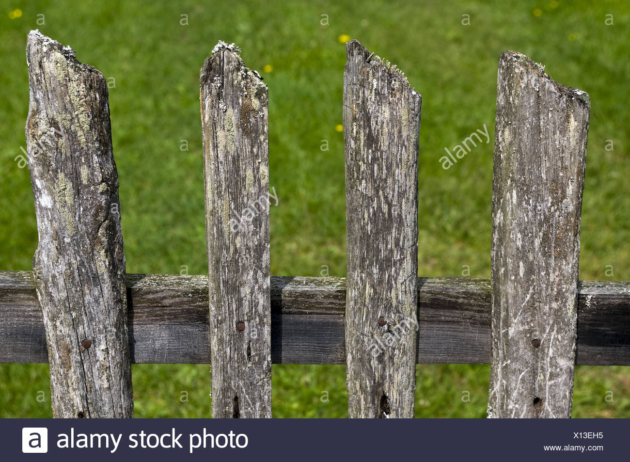 Bar Fence High Resolution Stock Photography and Images - Alamy