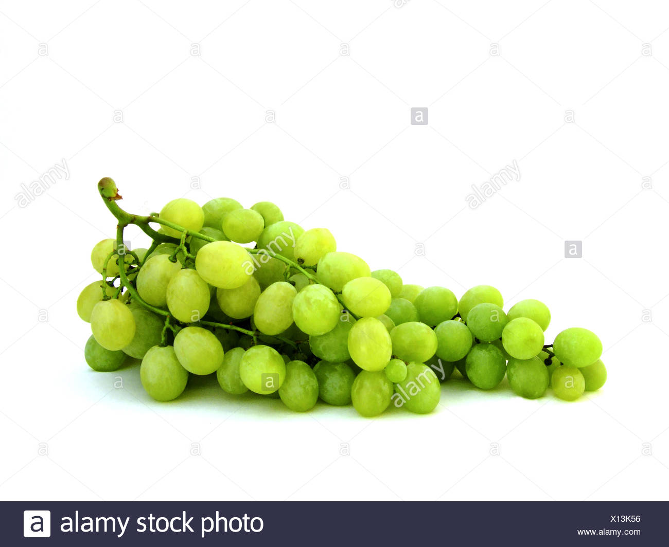 Weintrauben High Resolution Stock Photography and Images - Alamy