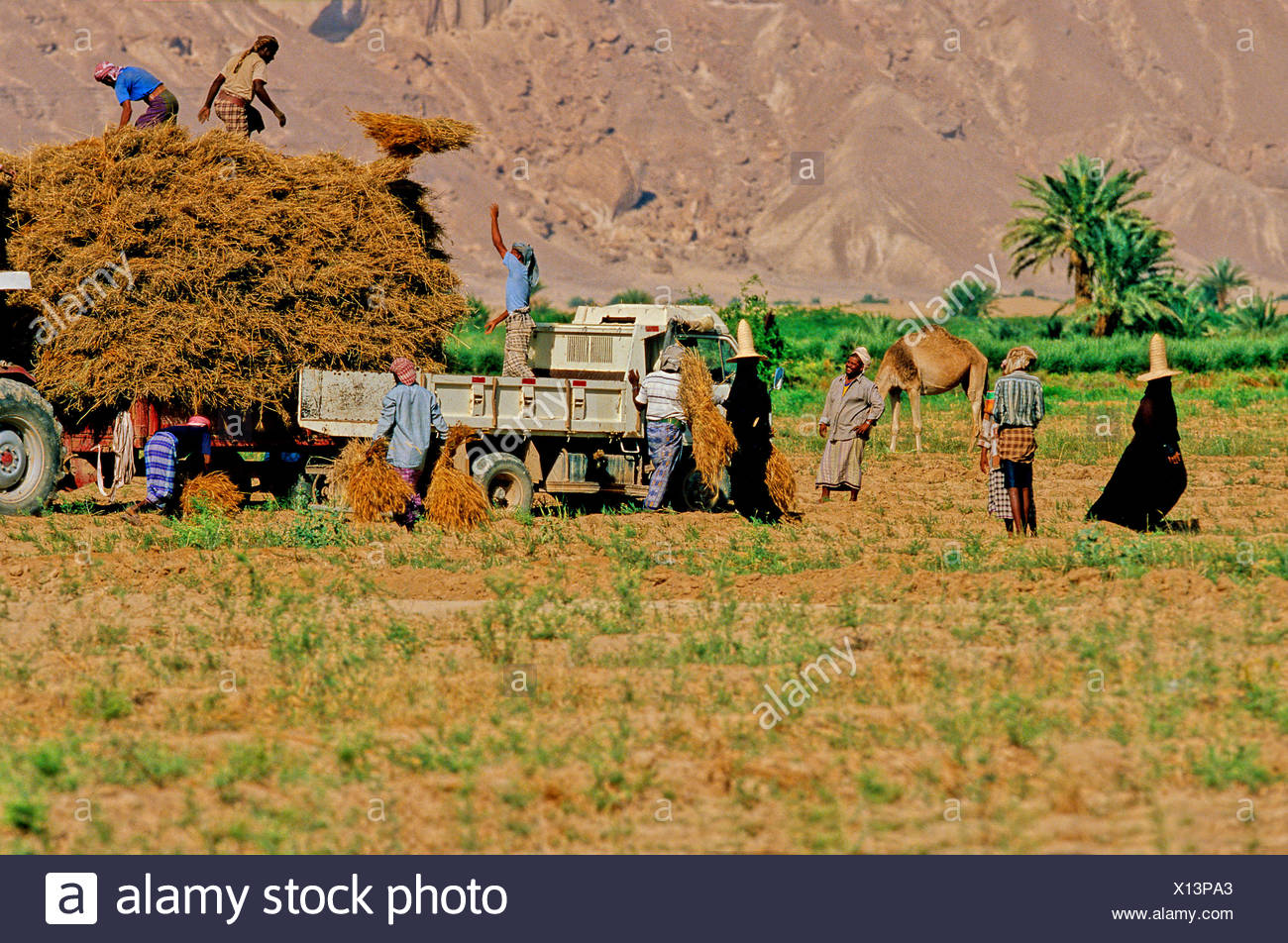 Madhalla Hat High Resolution Stock Photography and Images - Alamy