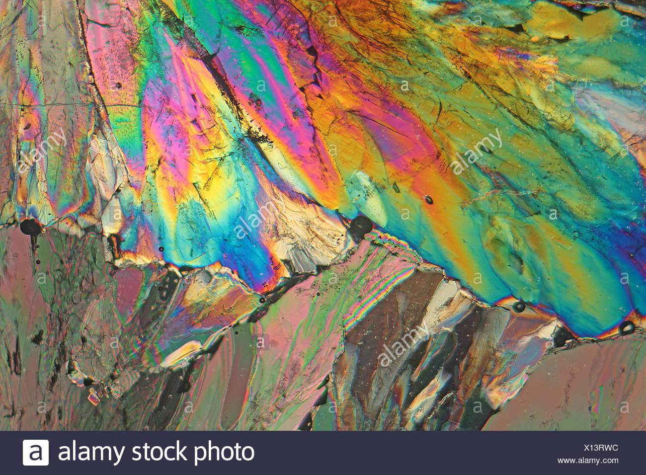 Sugar Microscope High Resolution Stock Photography and Images - Alamy