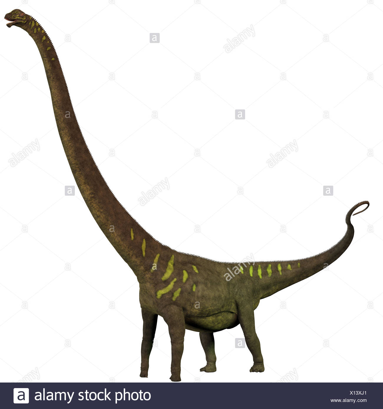 Mamenchisaurus Stock Photos & Mamenchisaurus Stock Images - Alamy
