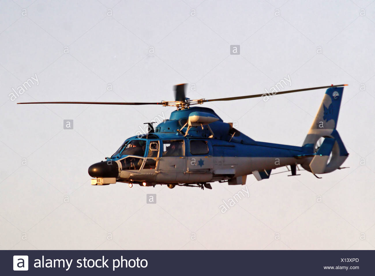 565 High Resolution Stock Photography and Images - Alamy