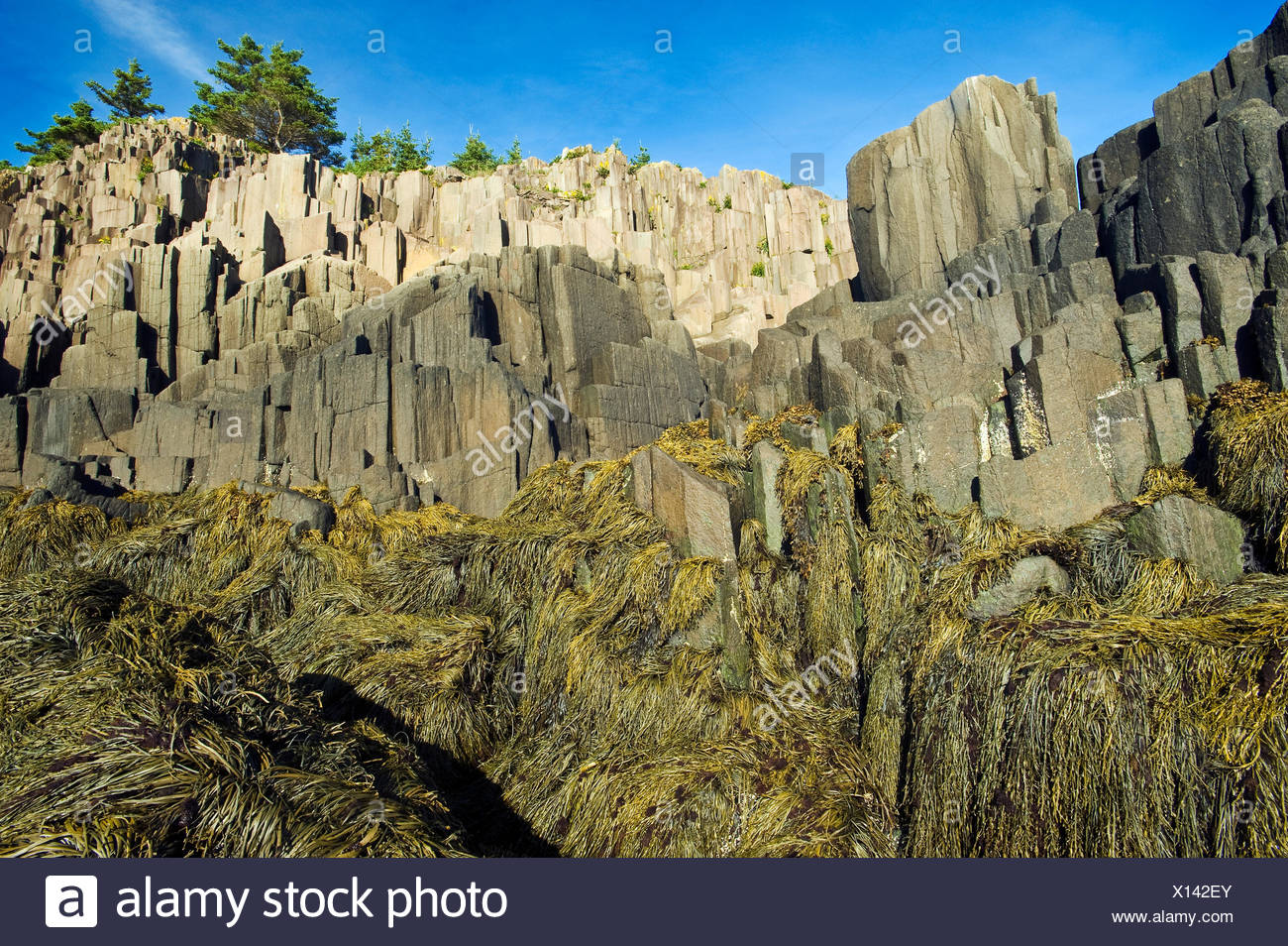 Basalt Island Stock Photos & Basalt Island Stock Images - Alamy