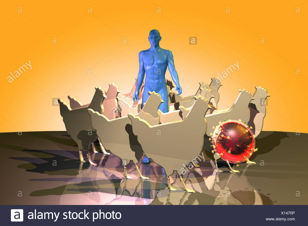 Avian Influenza Drawing High Resolution Stock Photography and Images ...