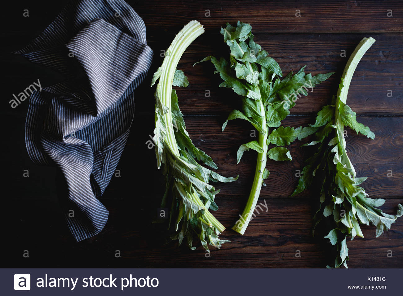Cardoni High Resolution Stock Photography and Images - Alamy