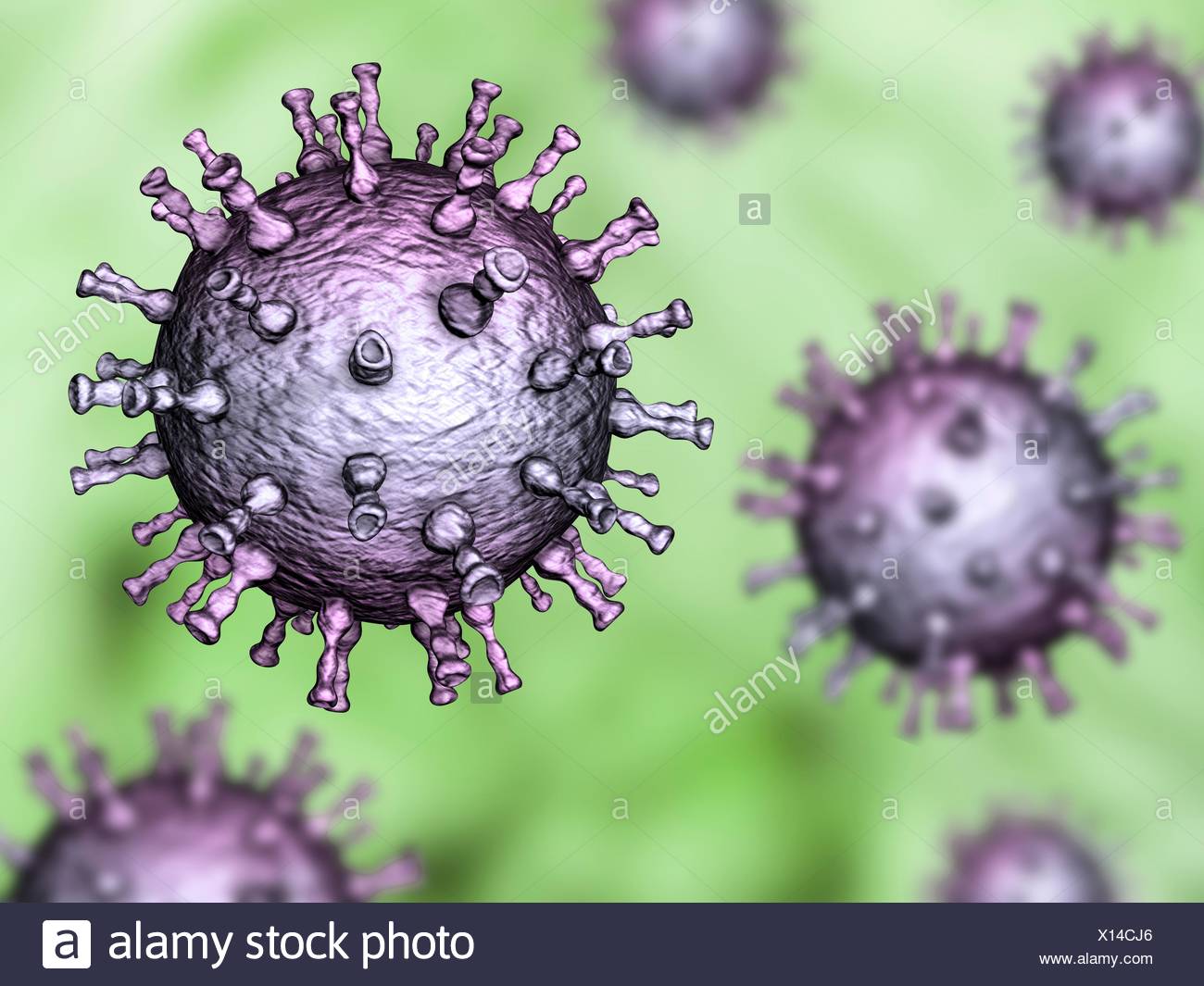 Varicella Zoster Virions High Resolution Stock Photography and Images ...