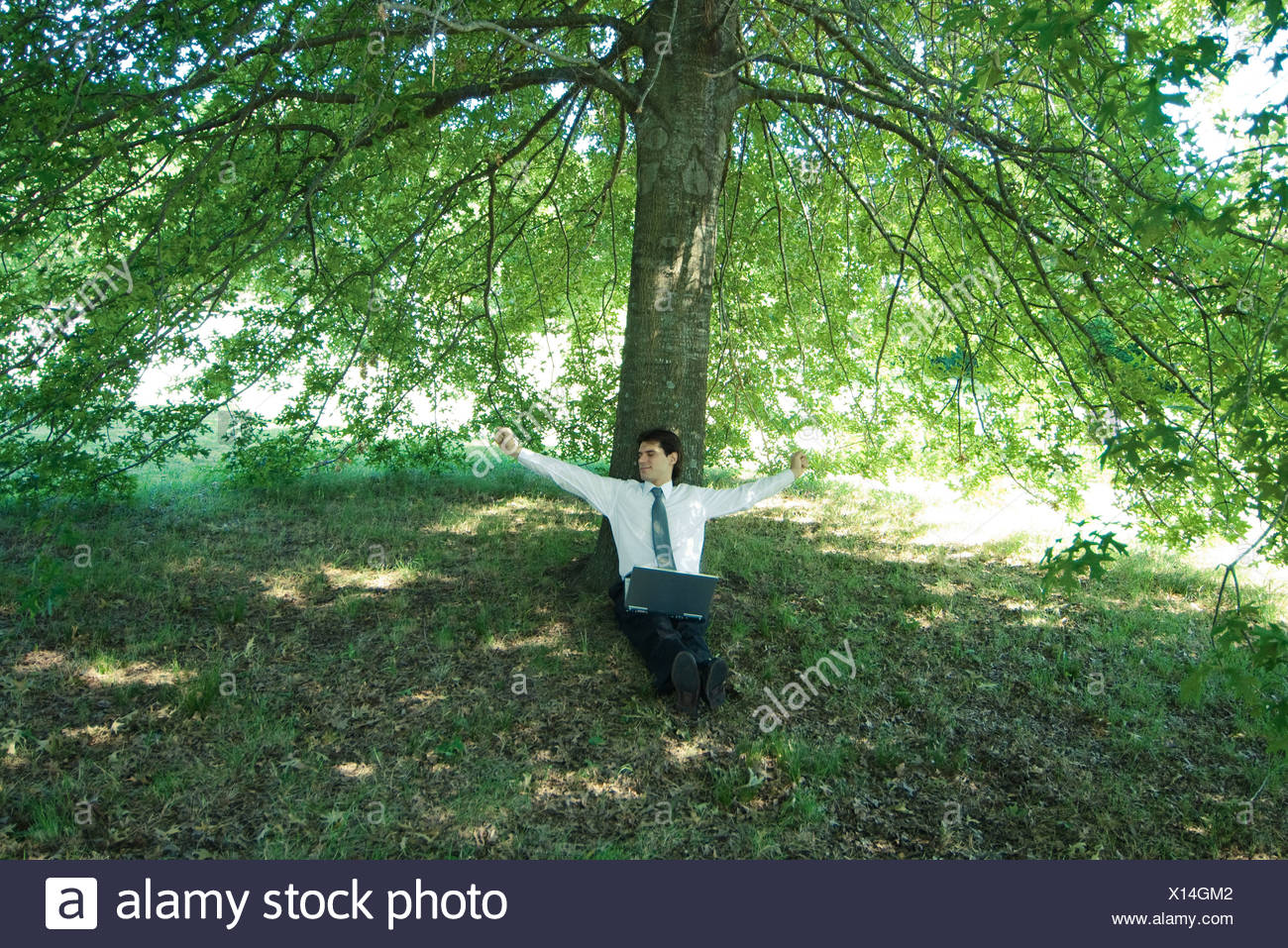 Man Sitting Under Shade Tree Stock Photos & Man Sitting Under Shade ...