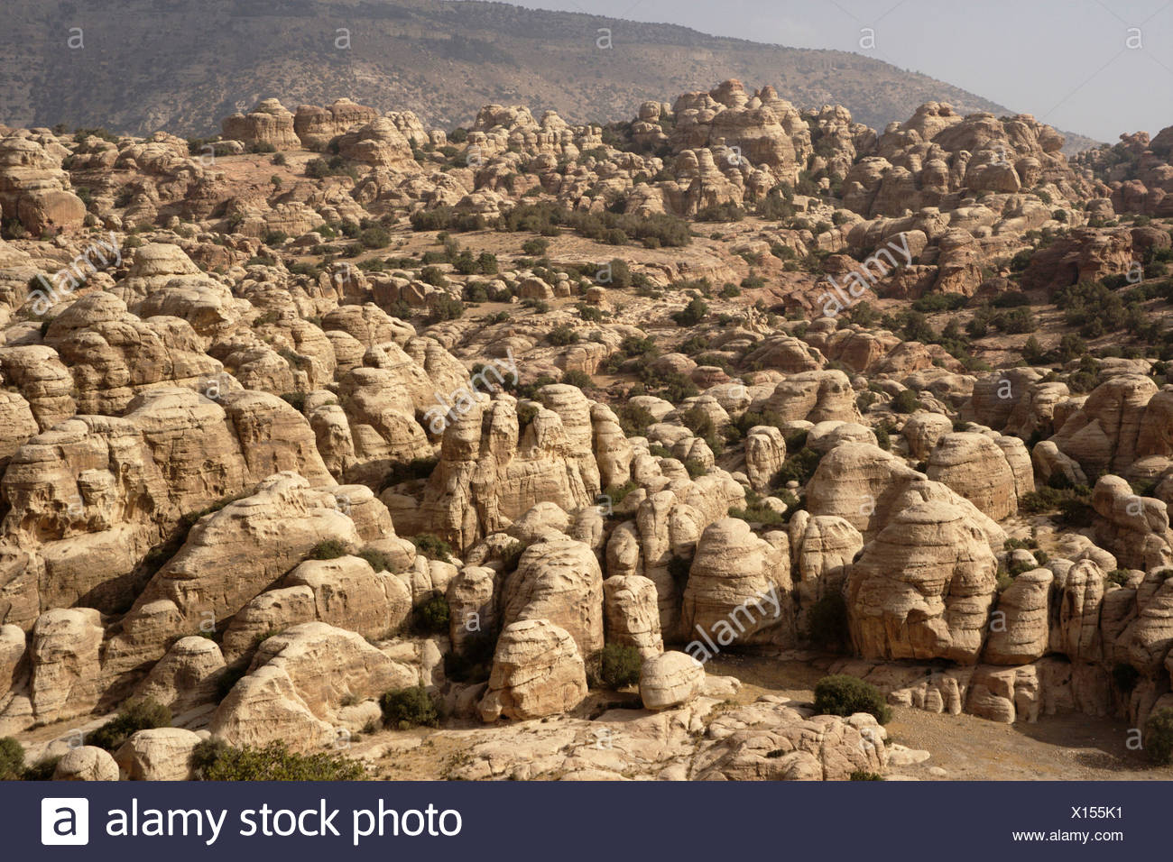 Area To View Unusual Birds High Resolution Stock Photography and Images ...