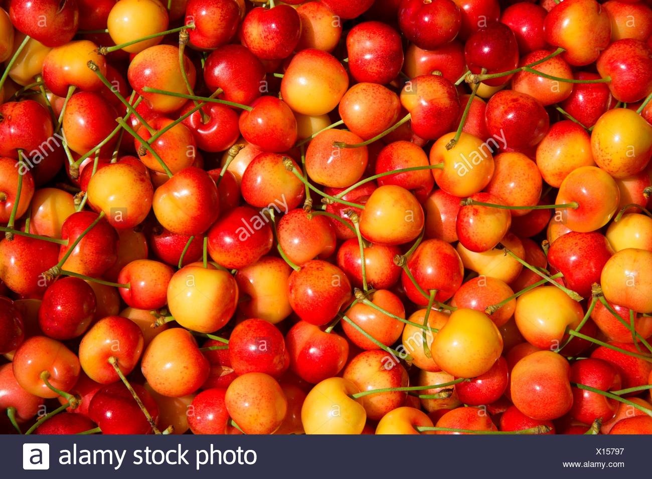 Cherry Orchard Usa High Resolution Stock Photography and Images - Alamy