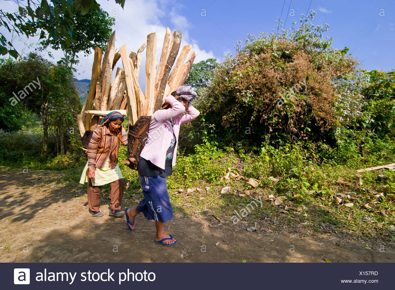 Timber Carrying High Resolution Stock Photography and Images - Alamy