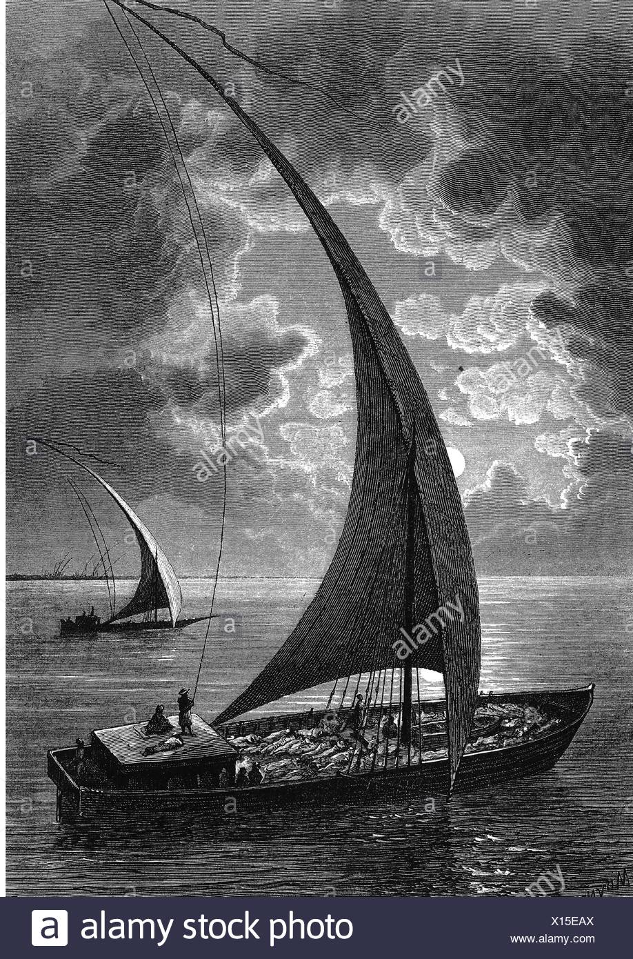 Slave Transportation Stock Photos & Slave Transportation Stock Images ...