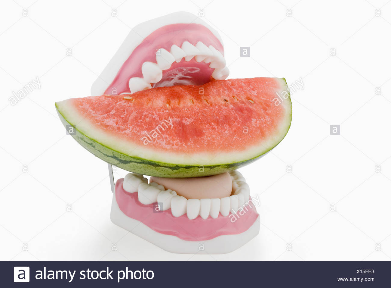 Teeth Mold High Resolution Stock Photography and Images - Alamy