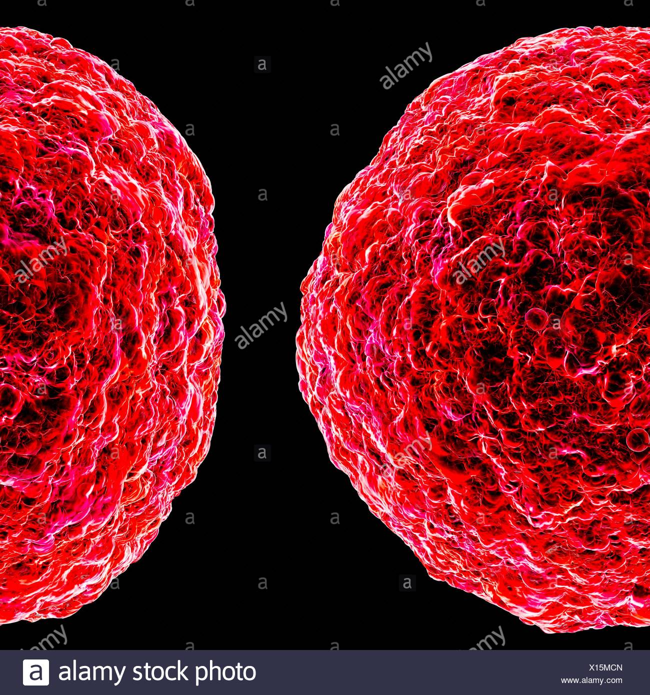 Human T Cell Leukemia Virus Stock Photos & Human T Cell Leukemia Virus ...