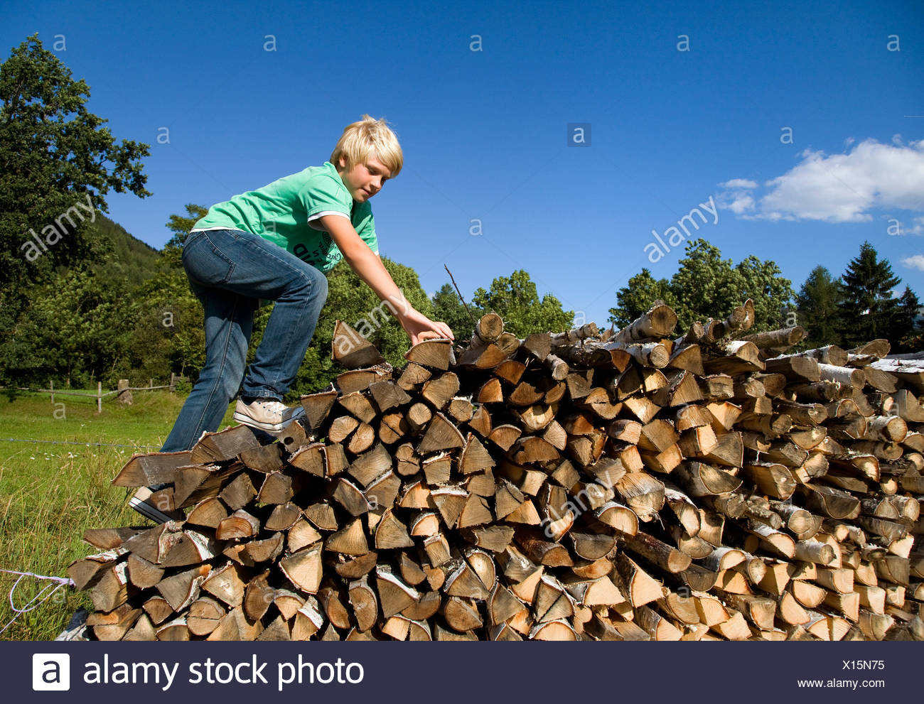 Firewood Pile Of Wood High Resolution Stock Photography and Images - Alamy