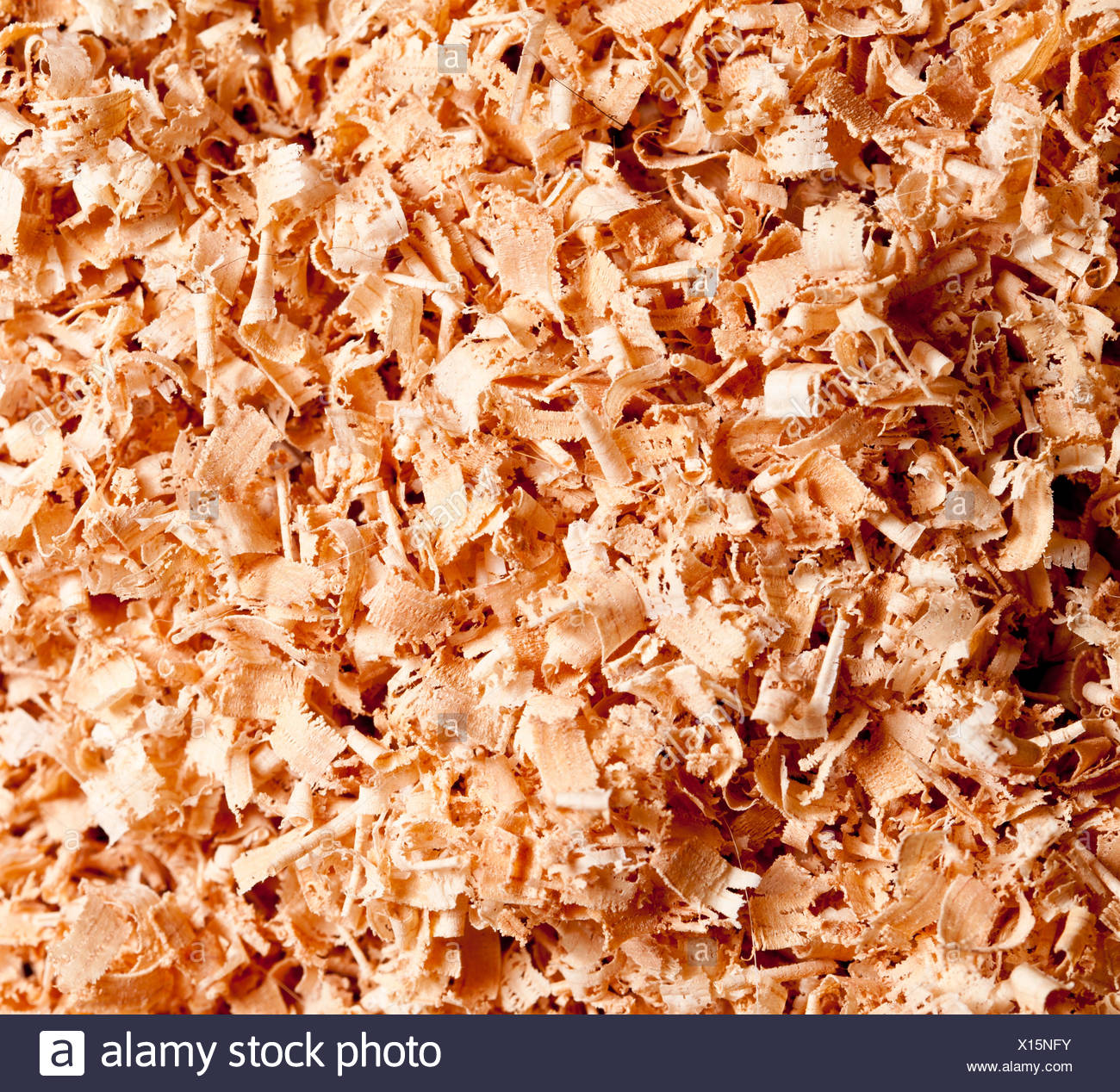 Sawdust Floor High Resolution Stock Photography and Images - Alamy