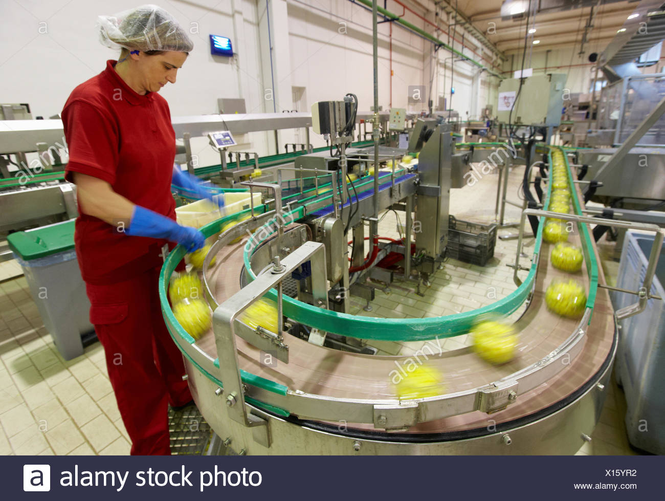 Production Line Canned Vegetables Beans Stock Photos & Production Line ...
