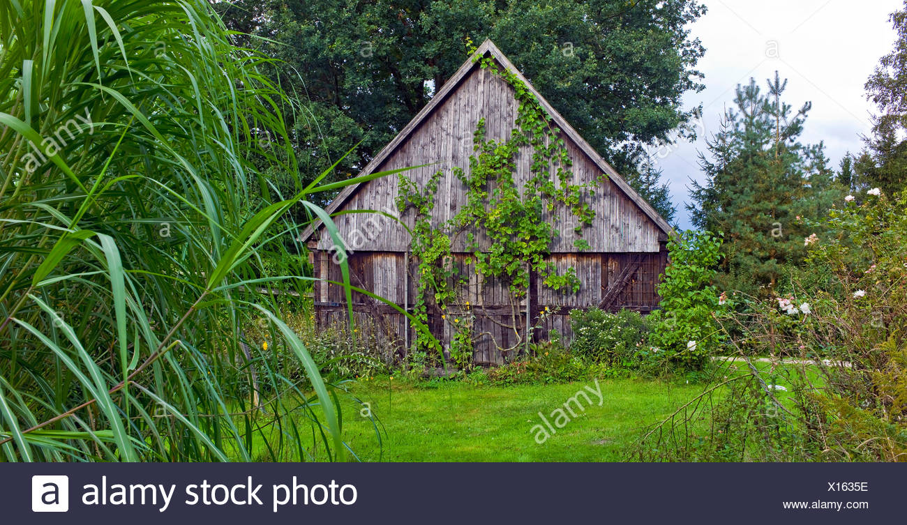 Grape Vine Wall High Resolution Stock Photography and Images - Alamy
